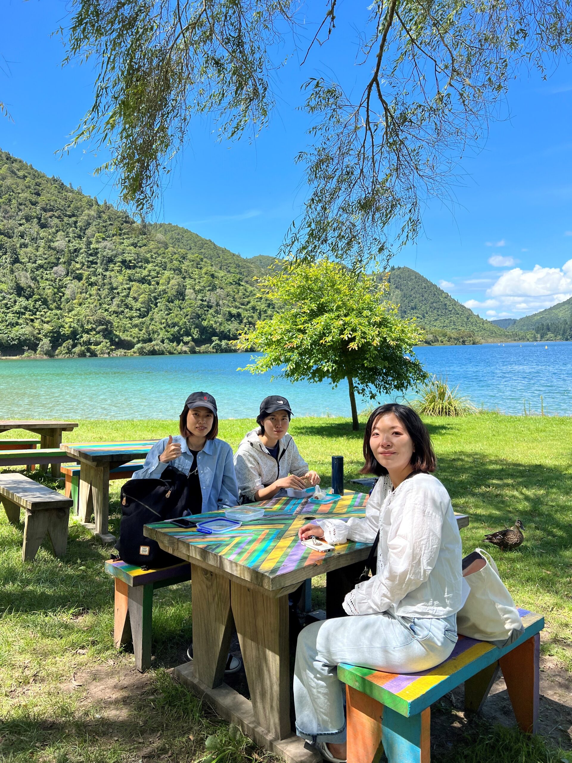 Study for FCE course in New Zealand on our FCE preparation course